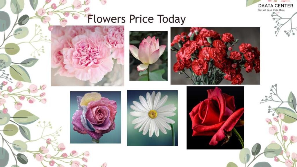 Flowers Price in Bangalore KR Market - April 24, 2026